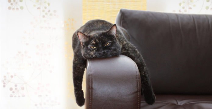 5 bienfaits insoupçonnés de l'ennui