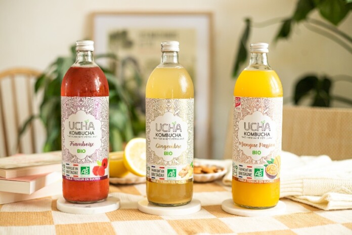 Boire du kombucha : l’astuce santé qui va changer votre quotidien