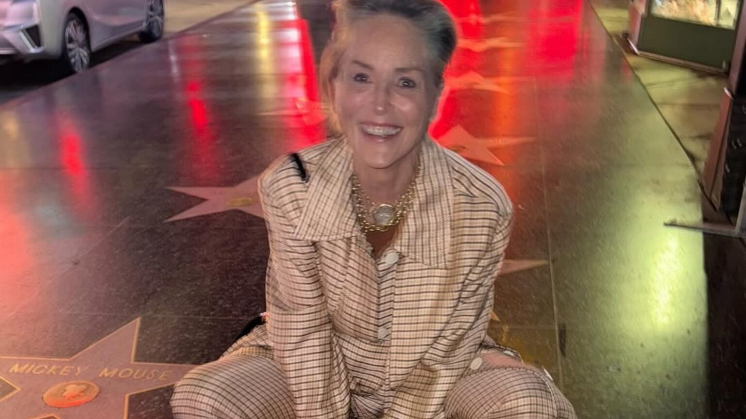 "Magnifique" : Sharon Stone, 67 ans, fait sensation dans un look à ...