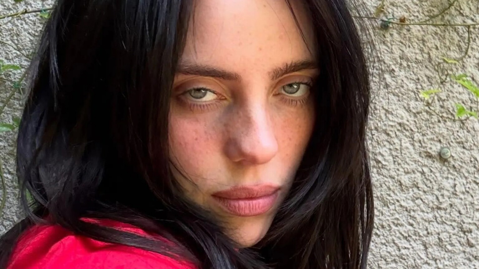 "Un charme fou" : Billie Eilish fascine sous une lumière tamisée